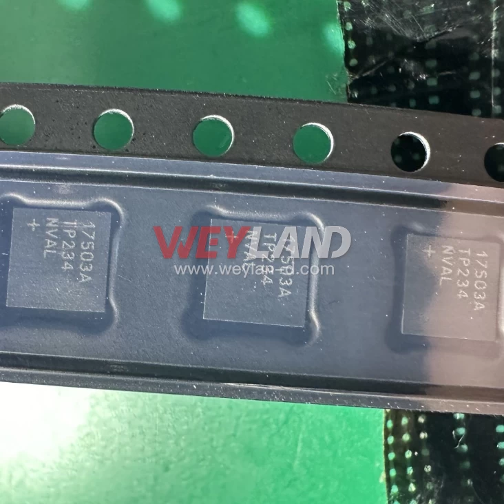 ISP chip development for programmable digital frequency counters | Weyland