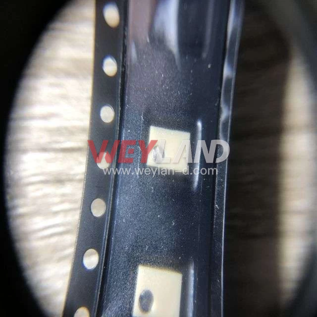 What is sgmicro short for? | Weyland