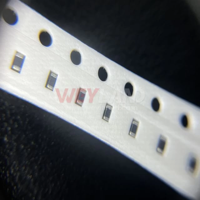 Dip Chip Processing | Weyland