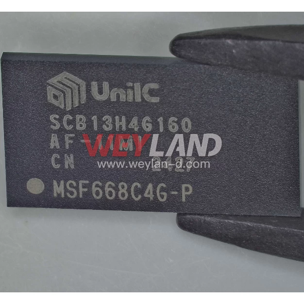 Audio Processing Features of Rockchip RK3326 Chip | Weyland