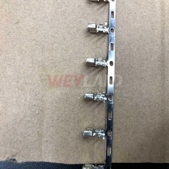 Future Trends of HISILICON Optical Modules | Weyland