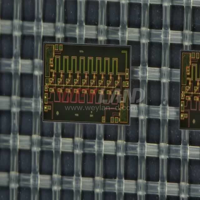 Republic of patch processing dip specialists | Weyland